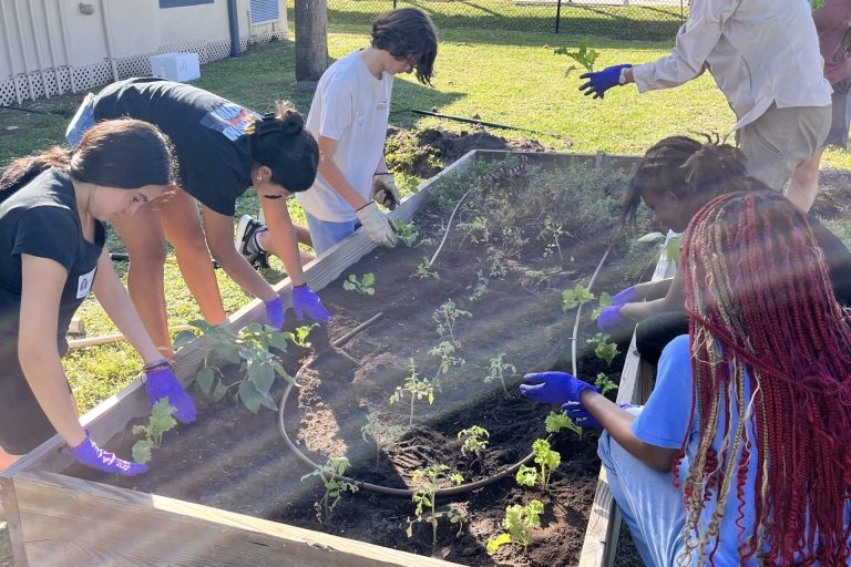 Lincoln Park Academy